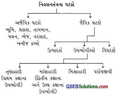 GSEB Class 10 Science Important Questions Chapter 1 રસયણક પરકરયઓ