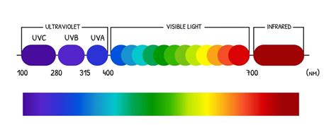 Espectro De Luz Ultravioleta Uv Vetor Premium