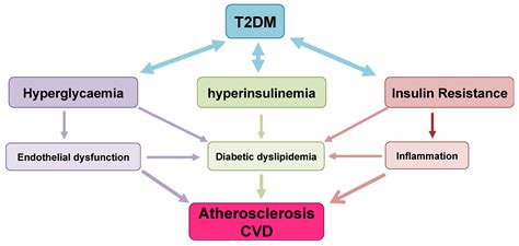 Diabetes Type 2