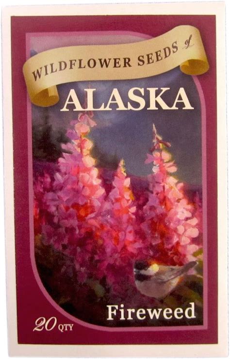 Fireweed Seed Packet Fireweed Wildflower Seeds Seeds