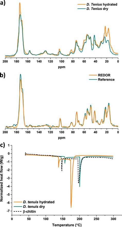 Solid State Nuclear Magnetic Resonance Spectroscopy And Differential