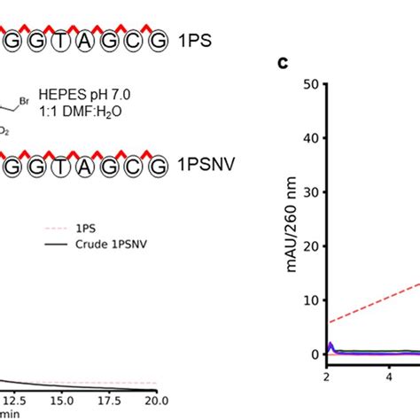 Modification Of Ps Containing Antisense Oligonucleotides And Our Download Scientific Diagram