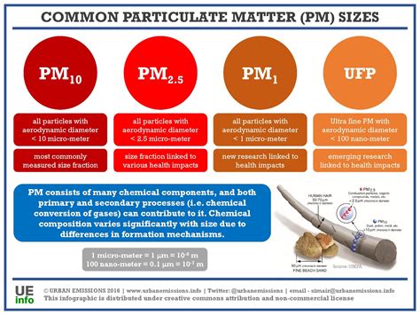 Daily Dose Of Air Pollution Infograph Penetration Of Particulate