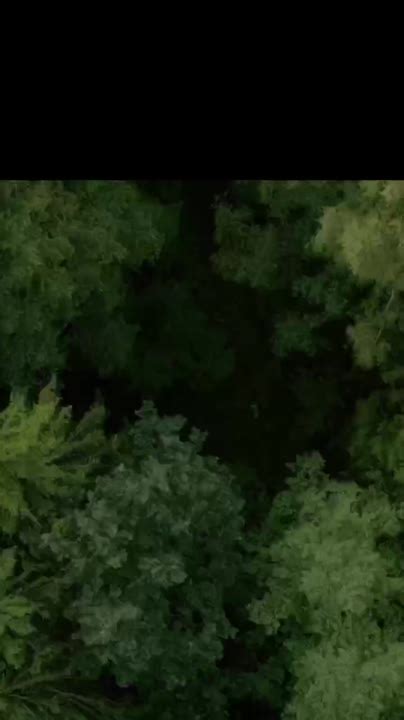 Suganthi Gowtham Posted On Linkedin