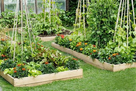 All About Raised Bed Gardens This Old House