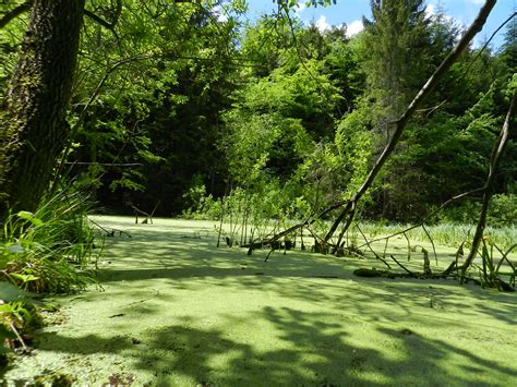 OrtÚtske Jazierko Bystrický Permon