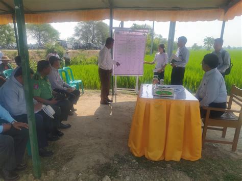 မကွေးတိုင်းဒေသကြီးဝန်ကြီးချုပ် ဦးတင့်လွင် မြို့သစ်မြို့နယ် ယင်းနားကုန်းကျေးရွာရှိ နွေစပါးမ