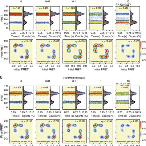 Crystal Structure Of The Paromomycin Bound Partially Rotated Ribosome Download Scientific