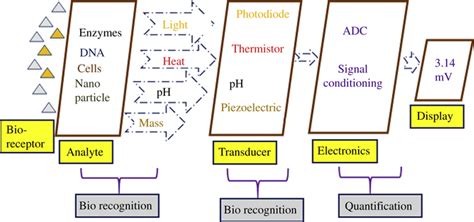 1 Schematic Representation Of A Biosensor Function Download