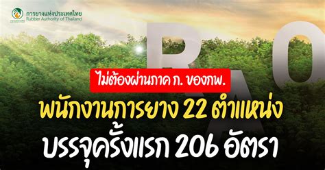 การยางแห่งประเทศไทย รับสมัครพนักงานการยาง 22 ตำแหน่งบรรจุครั้งแรก 206