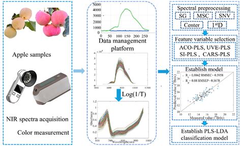 Figure 1 From Dynamic Nondestructive Detection Models Of Apple Quality In Critical Harvest