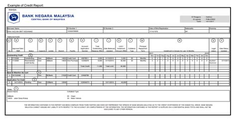 How To Read Ccris Report Luke Ferguson