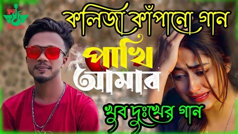 বুক ফাটা কষ্টের গান । Pakhi Amar। পাখি আমার । Monir Sarker । Sad Bangla