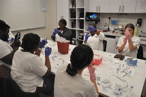 Aacc Nursing Claims Top Spot In Regional Rankings