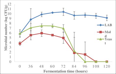 Growth Of Lactic Acid Bacteria Lab Mold And Yeast During Mlanding Download Scientific