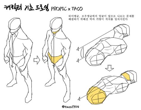 타코작가 On X 드로잉 강좌 인물 드로잉 해부학 예술