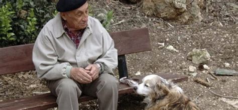Mon ami je ne te donnerai à personne un retraité a adopté un