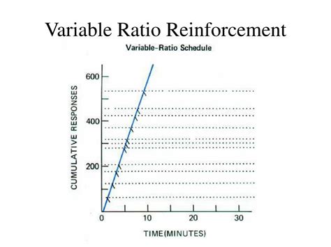 Ppt Reinforcement Schedules Powerpoint Presentation Free Download