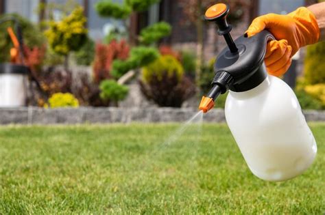 Premium Photo One Hand Pressure Pesticide Sprayer In Use