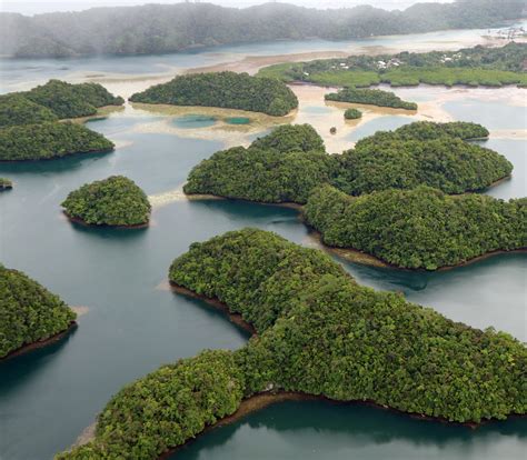 To Travel Is To Live Palau