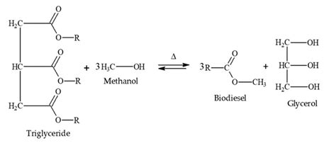 Representation Of The Transesterification Reaction Adapted From The