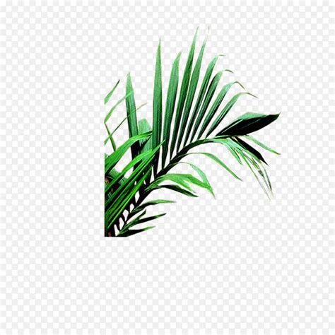 Png Png