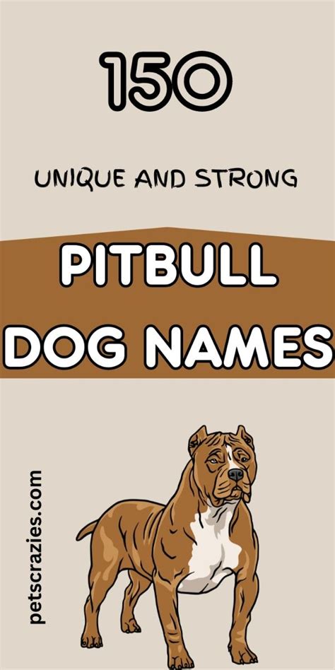 150 Unique And Strong Pitbull Dog Names Pitbull Dog Names Male