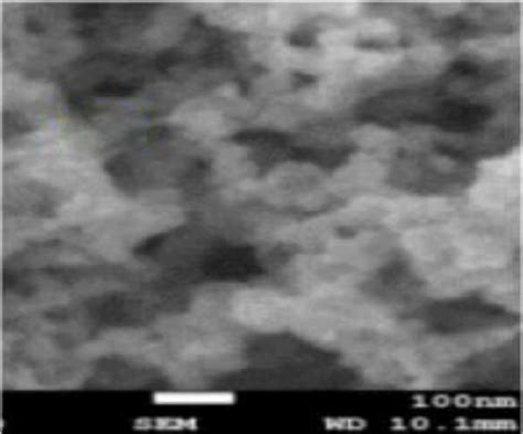 SEM Images Of A Pure SnO2 B 1 Cu Doped C 2 Cu Doped D 3