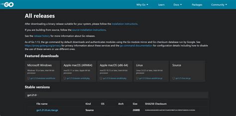 Cara Install Golang Di Windows 11 Step By Step Yang Mudah Kamu Ikuti