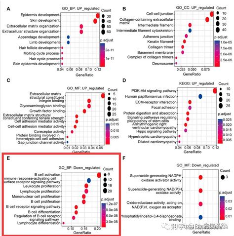 鼻咽癌的bulk Rna Seq与scrna Seq联合分析 知乎