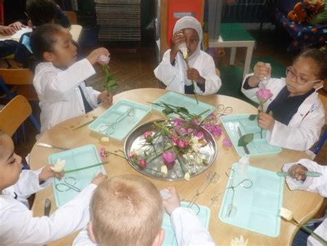 Science Week At Pakeman Pakeman Primary School