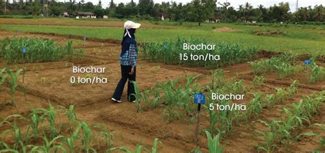 Biochar Overview Climate Solutions Advancement Network ClimateSAN
