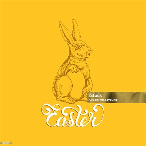 핸드 벡터에서 부활절 레터링입니다 인사말 카드 등 휴일 포스터를 위한 유월 절 계란과 토끼의 그려진된 그림 검은색에 대한 스톡 벡터 아트 및 기타 이미지 Istock