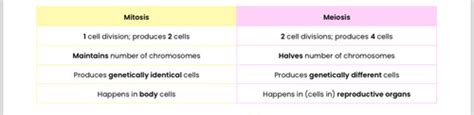 Biology Inheritance Variation And Evolution Flashcards Quizlet