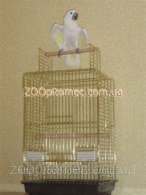 Клетка Вольер для попугая Жако, Корелла 52*42*78 см: продажа, цена в ...