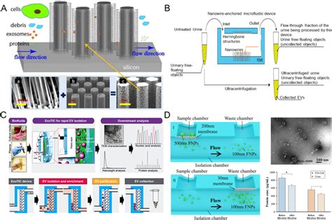 Figure 3 From Towards Microfluidic Based Exosome Isolation And Detection For Tumor Therapy