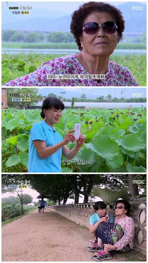 치매 어머니 유기견 60여마리와 함께사는 배우 이용녀  인스티즈 Instiz 이슈 카테고리
