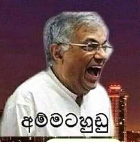 වඳුරෝ මදිවට අලි අලින්ට පුක දෙන්න යන්න එපා කියන්නේ මේකට Elakiri