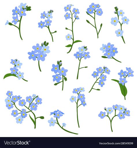 How To Draw A Forget Me Not Flower Step By Step At Bianca Agnes Blog