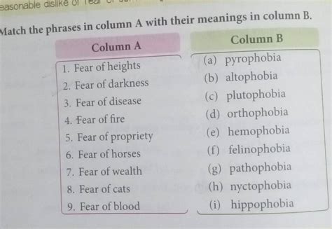 Match The Phrases In Column A With Their Meanings In Column B Column A1