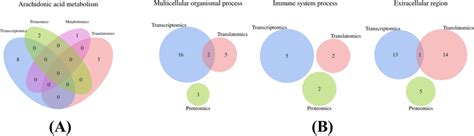 Transcriptomics Translatomics Proteomics And Metabolomics Enrichment Download Scientific