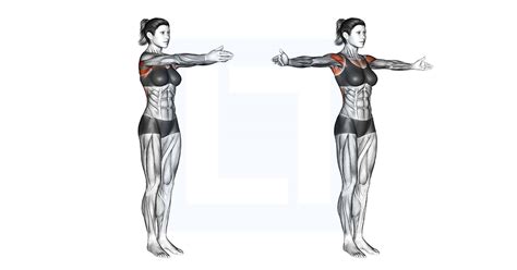 Dynamic Chest Stretch Guide Benefits And Form
