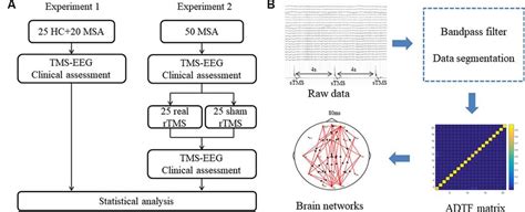 A Schematic Representation Of Experimental Design B Analysis Download Scientific Diagram