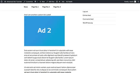 How To Add Custom Code To Your Ads Advanced Ads