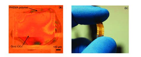 A Microsope Image Of Polyimide Chemical Sensor B Optical Image Of Download Scientific