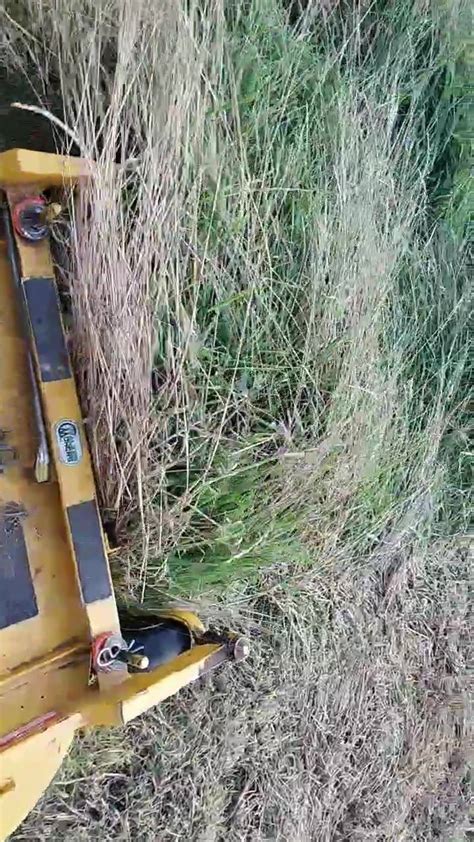 Bart Bart Van Ooteghem Hansbeke