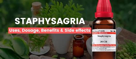 Staphysagria 30 200 1m Q Uses Benefits And Side Effects