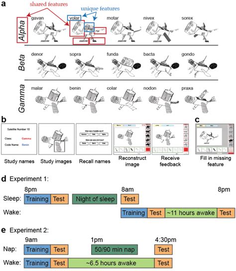 Stimuli And Task A Examples Of Satellite Stimuli Presented From The