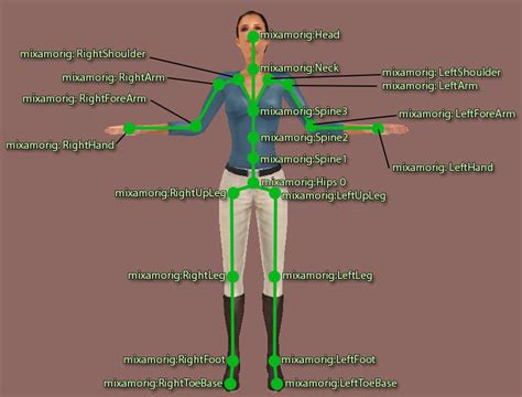 The Virtual Characters Skeleton Data Generated By The Auto Rigging