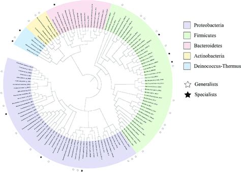Phylogenetic Tree Of Bacteria Isolated From The Soil Environment Download Scientific